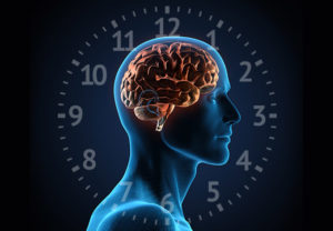 Sleep Appears To Restore Our Emotional Brain Circuits - Neurofeedback ...